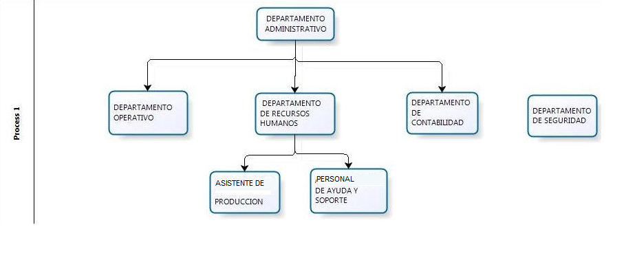KIDZANIA: ORGANIGRAMA