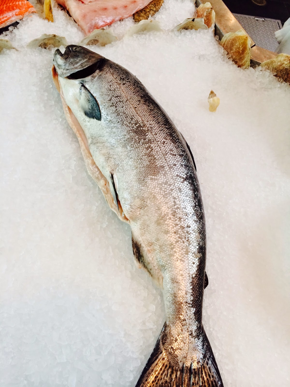 The Edible Ocean: The King Of Salmon Is Ivory