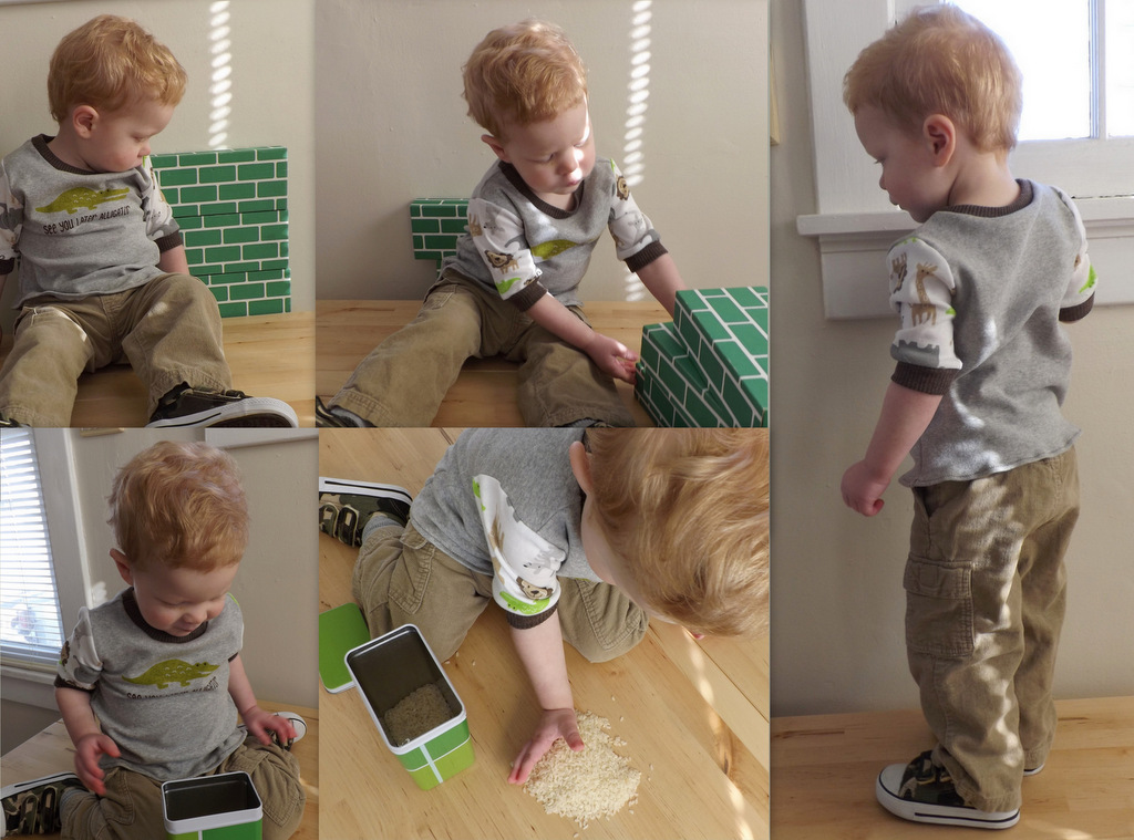 CTB. day#2: Alligator, Crocodile.