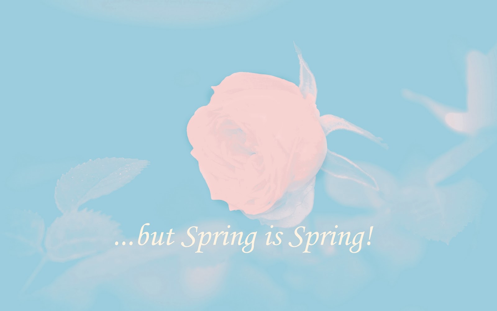 CUT and DRY : But Spring Is Spring! + Have a Lovely Weekend