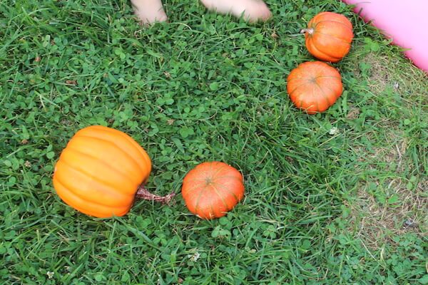 Rolling Pumpkins Activity for Preschoolers | Sunny Day Family