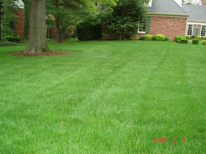 Fine Line Landscape and Lawn