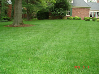 Fine Line Landscape and Lawn