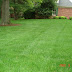 Fine Line Landscape and Lawn
