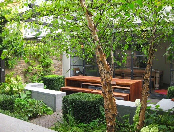 GreenZone Landscape Design: Great Deciduous Tree Choices for NYC