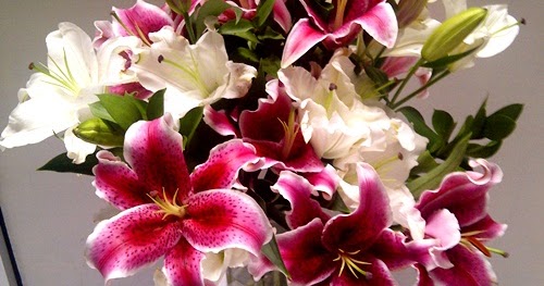 Jenis Bunga Berdasarkan Bulan Lahir dan Maknanya - AGUSTINA FLORIST ...