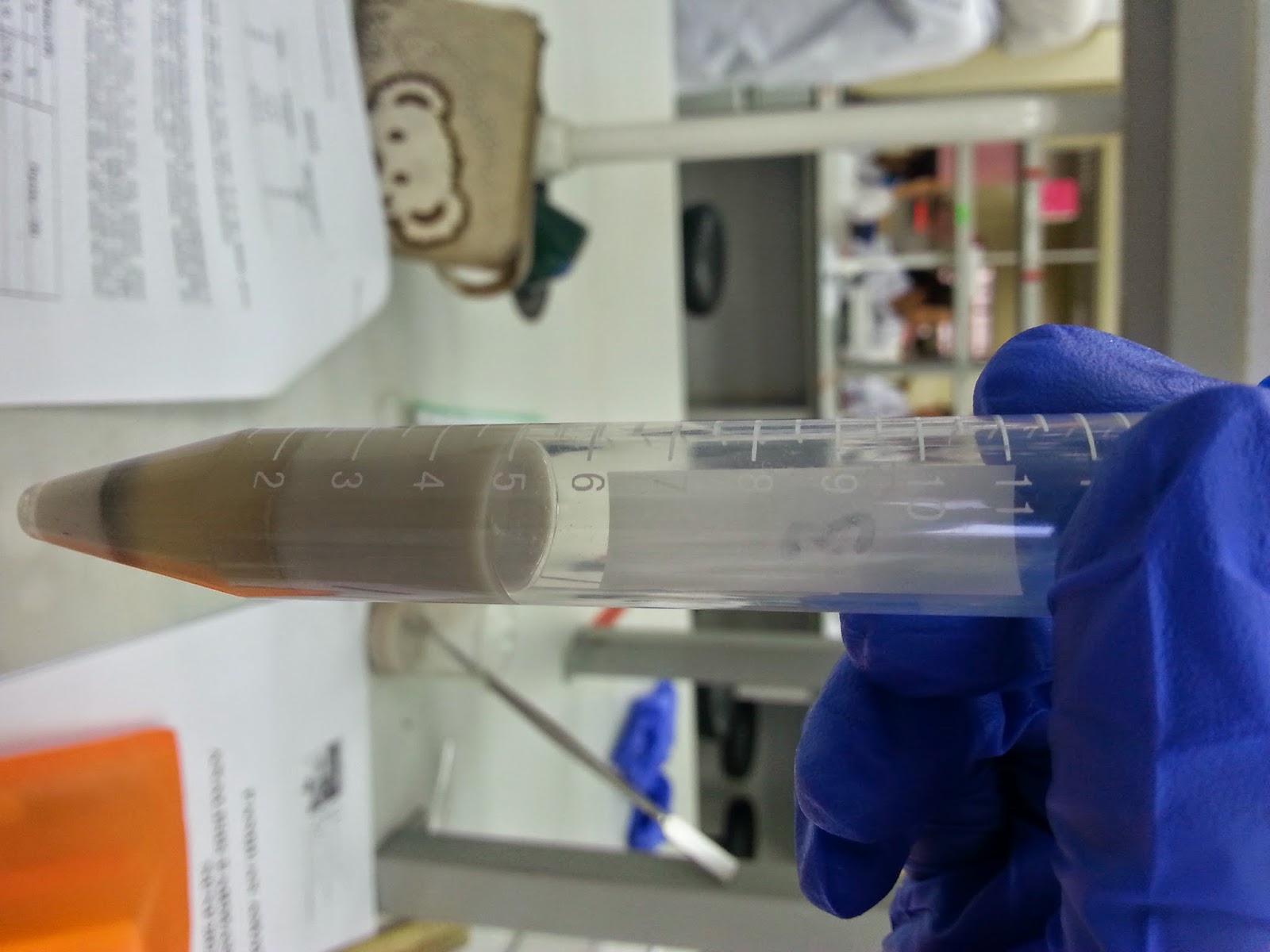 Laboratory Technology Pharmaceuticals Report: Different effect of ...