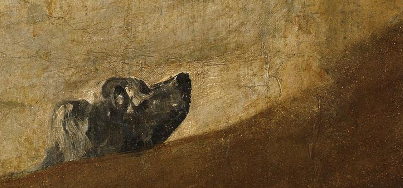 OUTSIDERS - IL MUSEO IMMAGINARIO: IL CANE DI GOYA. UN MESSAGGIO DALLA ...