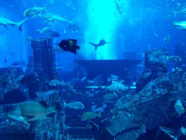 Misteri Pulau Atlantis yang Melegenda - Kisah Misteri dan Mistik