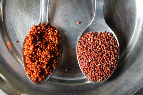 Homemade Ragi Powder Recipe / Baby Ragi Powder Recipe / Sprouted Ragi ...