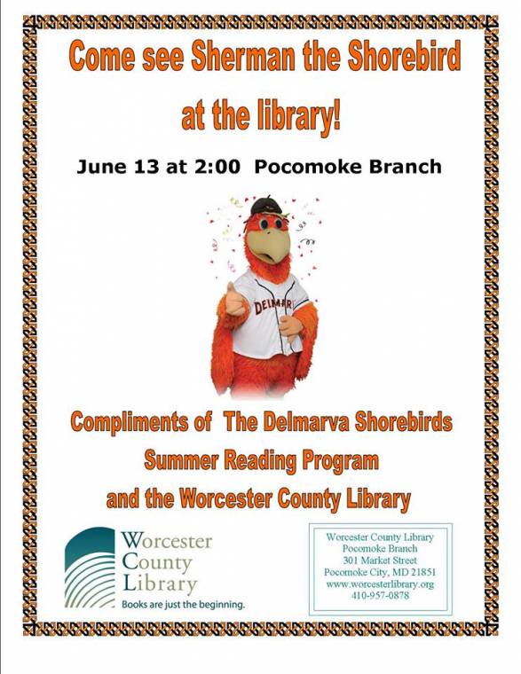 The Pocomoke Public Eye: See Sherman the Shorebird at the Library ....