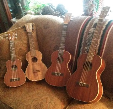 Ukulele Notebook: Electric Ukuleles (The Eleuke)