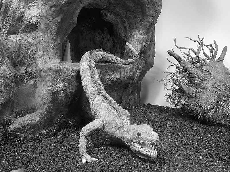 Blacknick Sculpture: Kong Spider Pit Finished