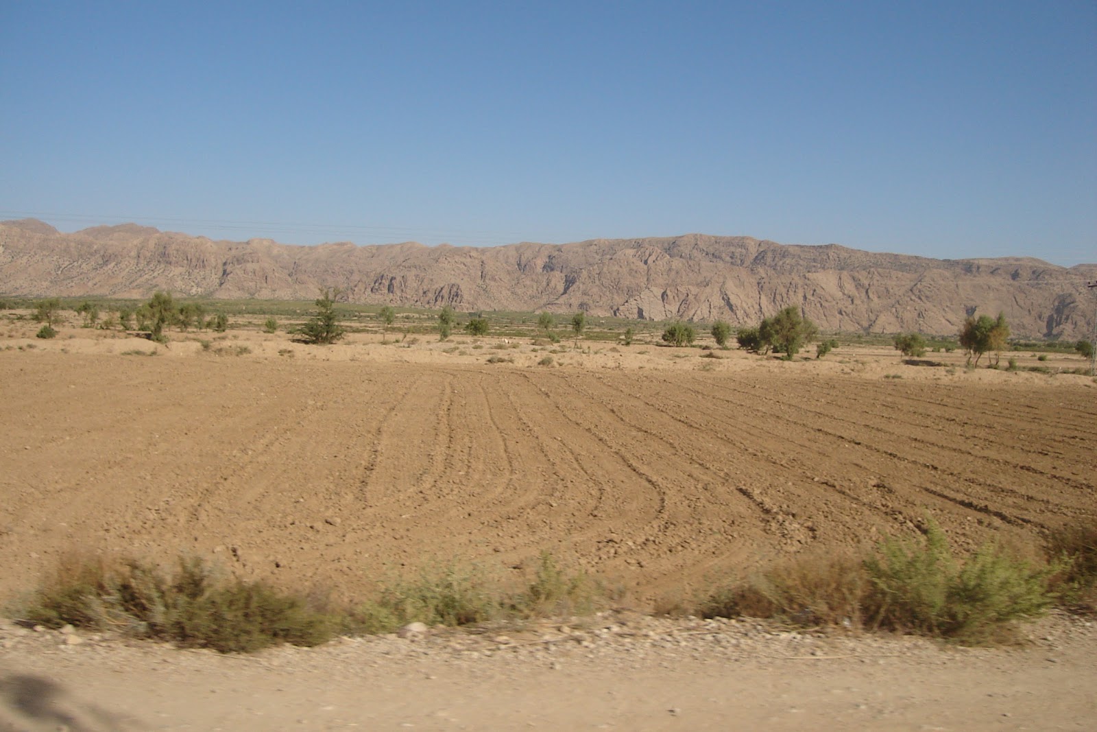 Biodiversity, climate change and food security: The crises of ...