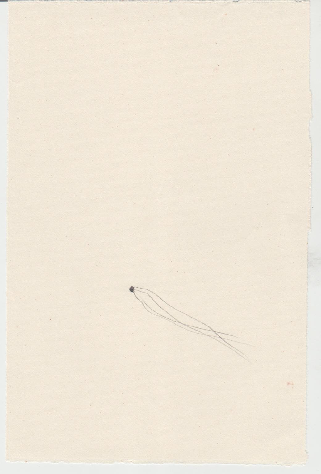Dibujo 9523 Serie Ombligos Iyalocha 1995 dibujo-9523-serie-ombligos-iyalocha-1995