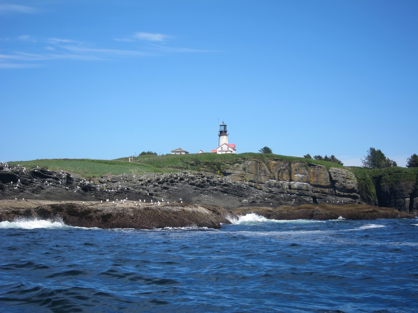 Todds Extreme Fishing: Neah bay halibut, lingcod, cabezon, & rockfish!