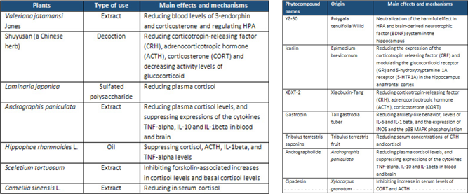 16 Little Known Plants + Phytocompounds to Control(!) Your Cortisol ...