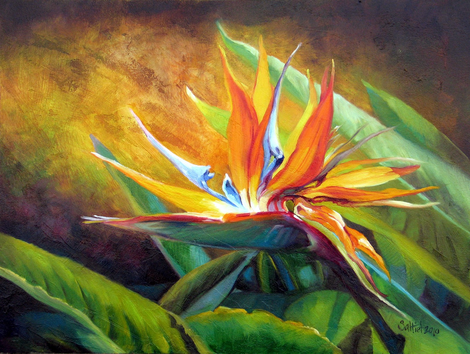 Art by Saltiel: Floral & Still Life