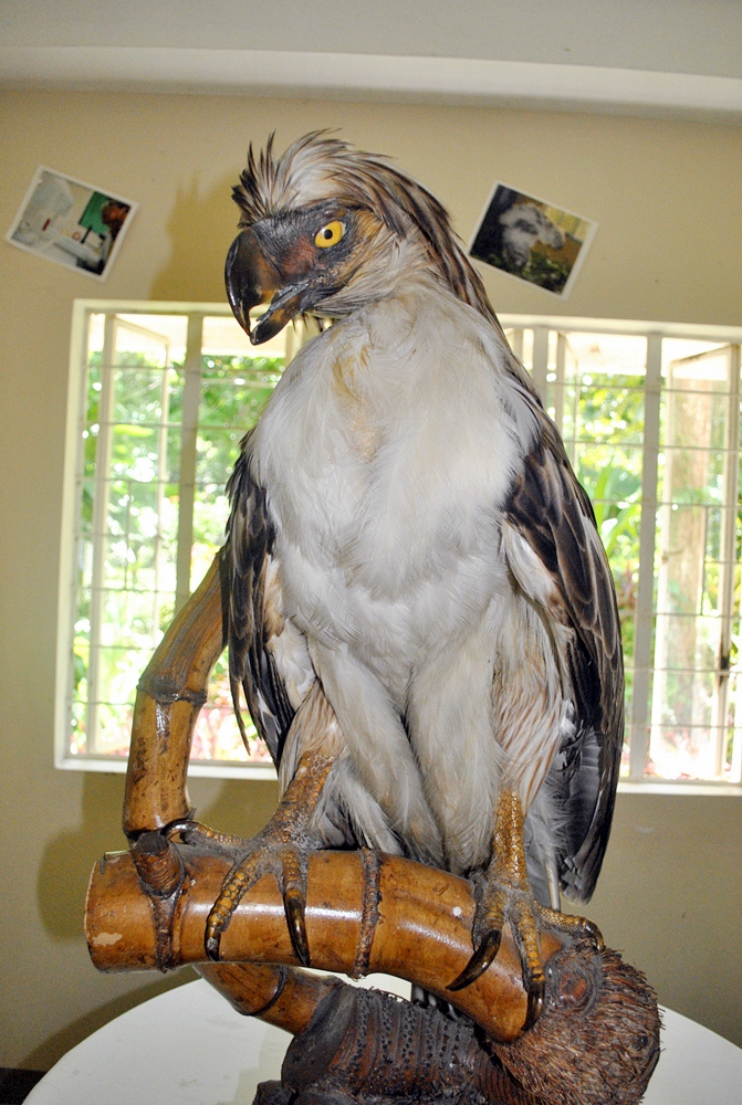 Mga Lakwacherang Doktora: The Davao Experience: Harboring "Pag-Asa" at ...