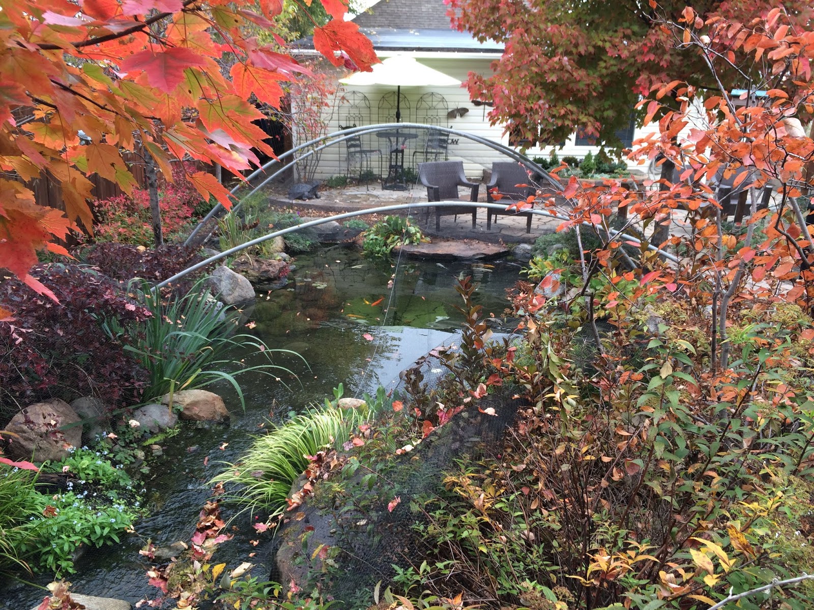 9 Essential Fall Products for Your Water Feature