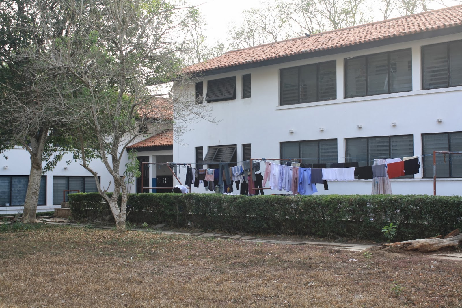 Life Of An African Immigrant: Have you ever wondered how a university ...