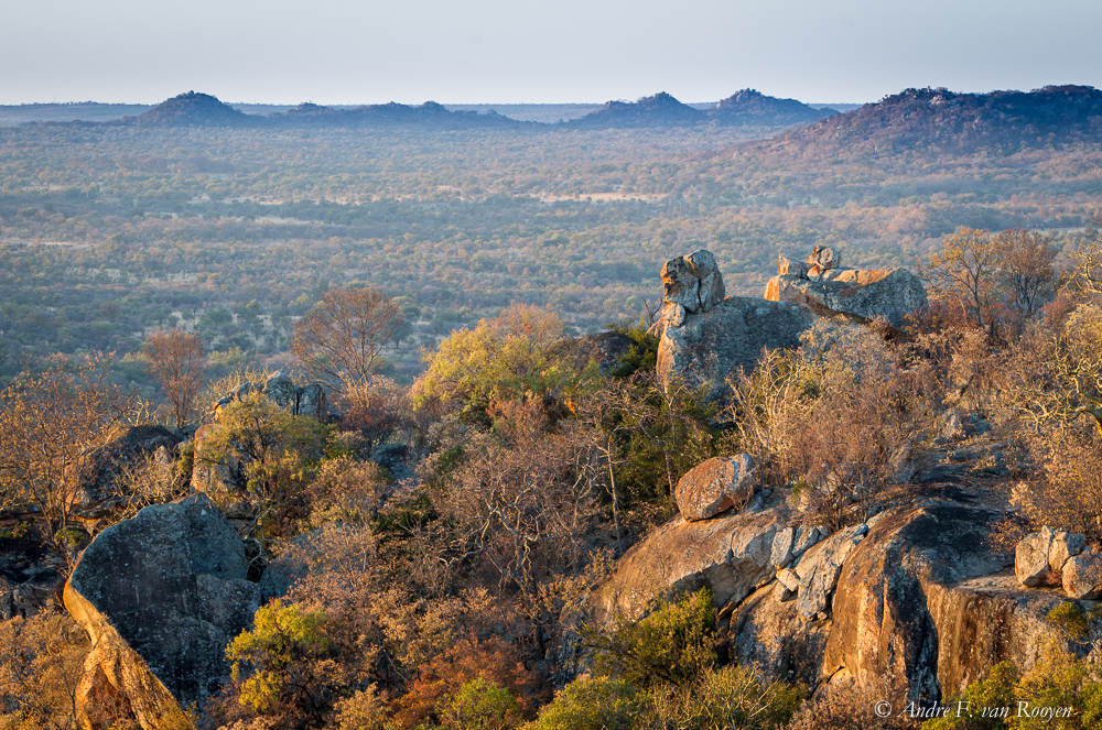 André F. van Rooyen