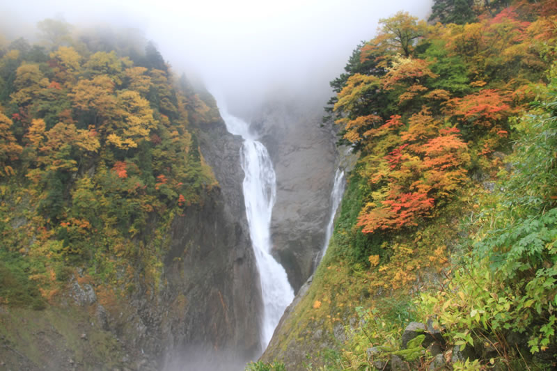 Toyama Japan Tourism: Autumn leaves of Toyama Prefecture of Japan
