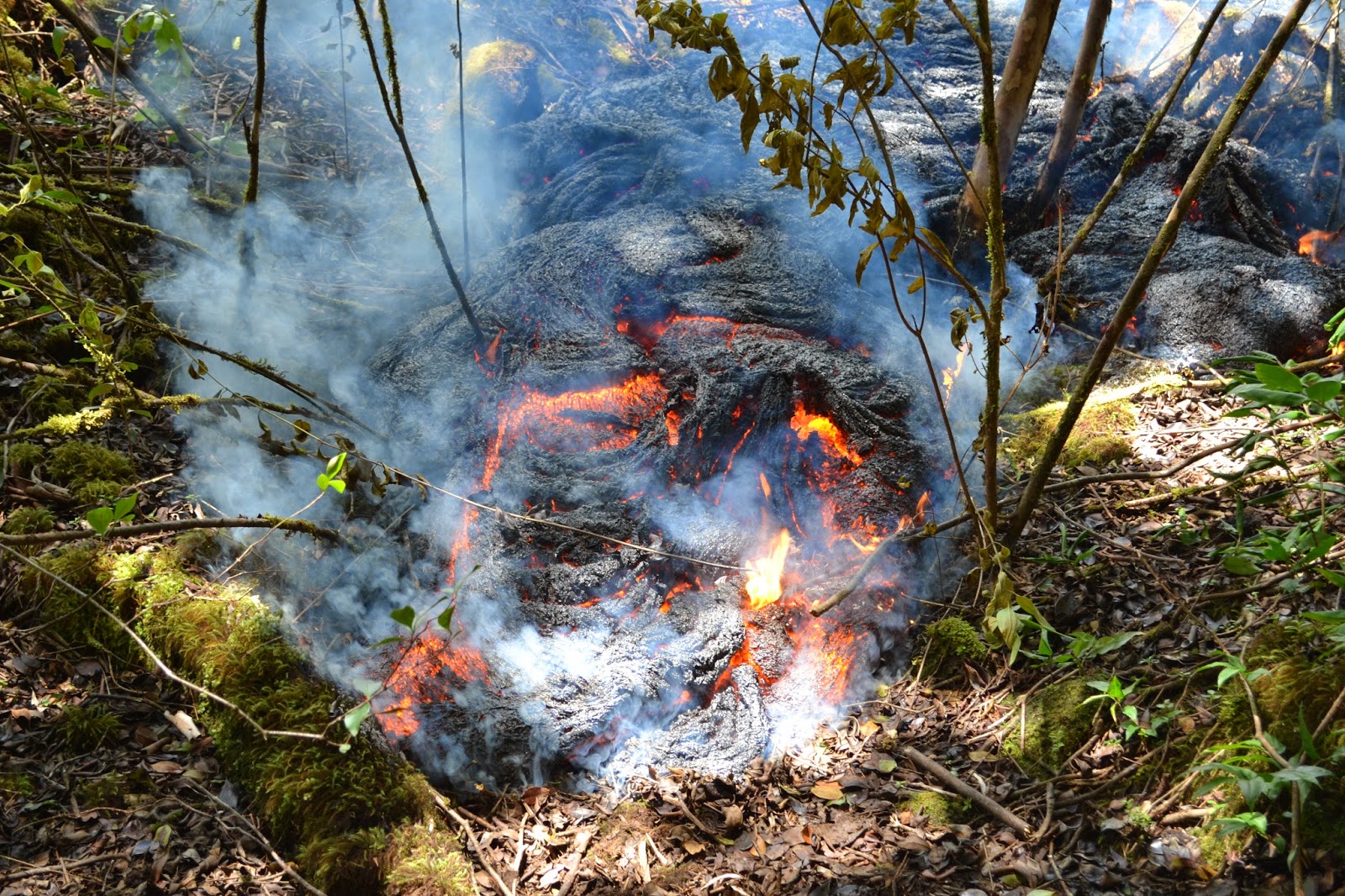 Family Travel Blog : Hawaii Daily Photo: Slow moving disaster
