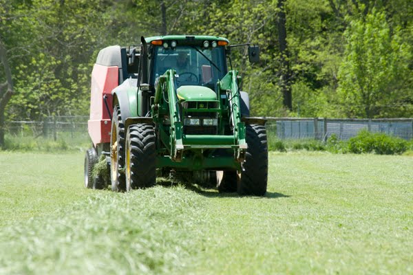 Premier Farm Diary: High Moisture Baleage