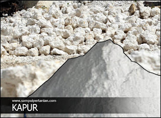 Distributor Batu Kapur: Cara Pengapuran Dengan Kapur Pertanian