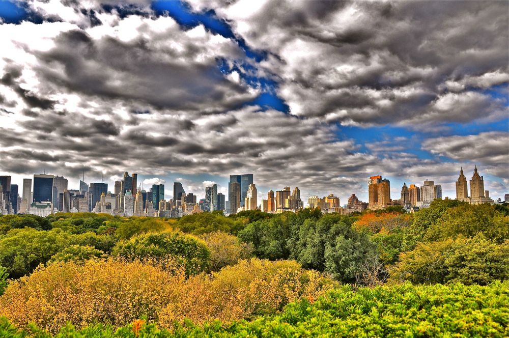 Favorite Hunks & Other Things: Autumn in New York by Richard Rothstein