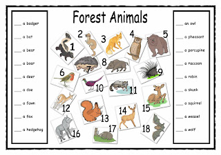Frenchfrog's Little English Pond: Forest Animals Matching