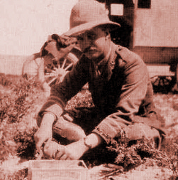 Roads to the Great War: Remembering a Veteran: Kermit Roosevelt ...