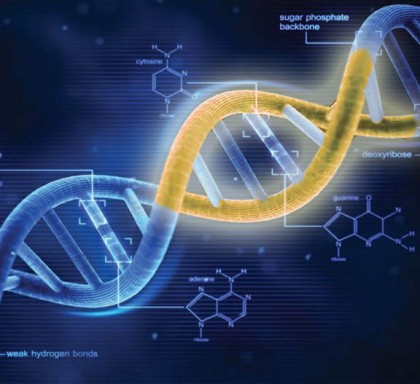 Pleasant distractions : "The God gene" by Dean Hamer