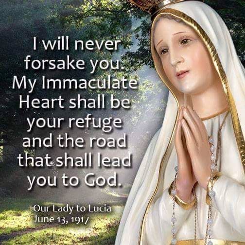 Catholic in Brooklyn: Mary: The Surest and Safest Way to Jesus