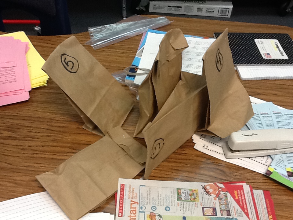 Stuff and Things: Science Mystery Bags