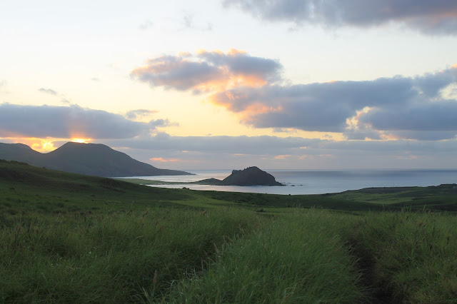 Biodiversidad de "El Bajío Profundo": ISLA CLARIÓN, ARCHIPIELAGO DE ...