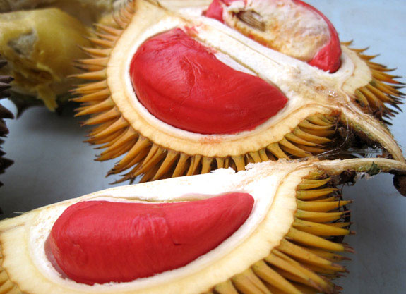 Buah Buahan Borneo, Durian Merah |MyRokan