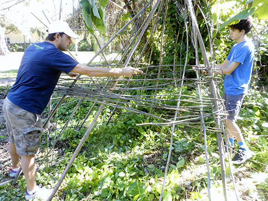 Coconut Grove Grapevine: Weaving tree saplings into this special ...