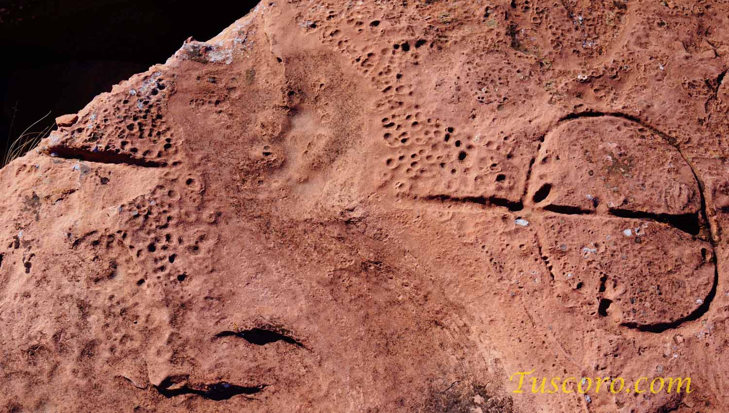 Tuscoro: Aztec Navigation Glyph (Key Glyph)