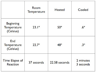 Chemestry Reflection: Chemical Reactions and Temperature Lab Investigation