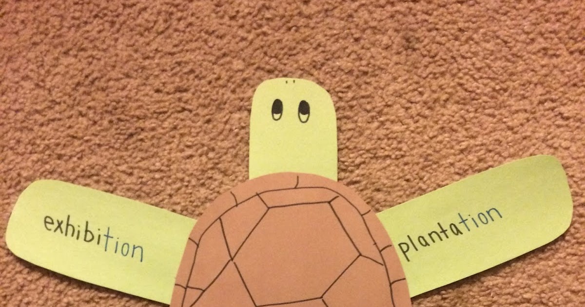 Teaching101: SEA TURTLE - FUN! 3D Graphic Organizer