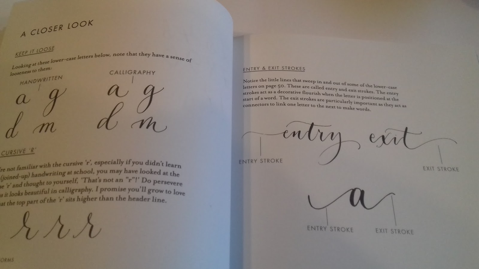 The Ghost without a Shell: Modern Calligraphy Book Review