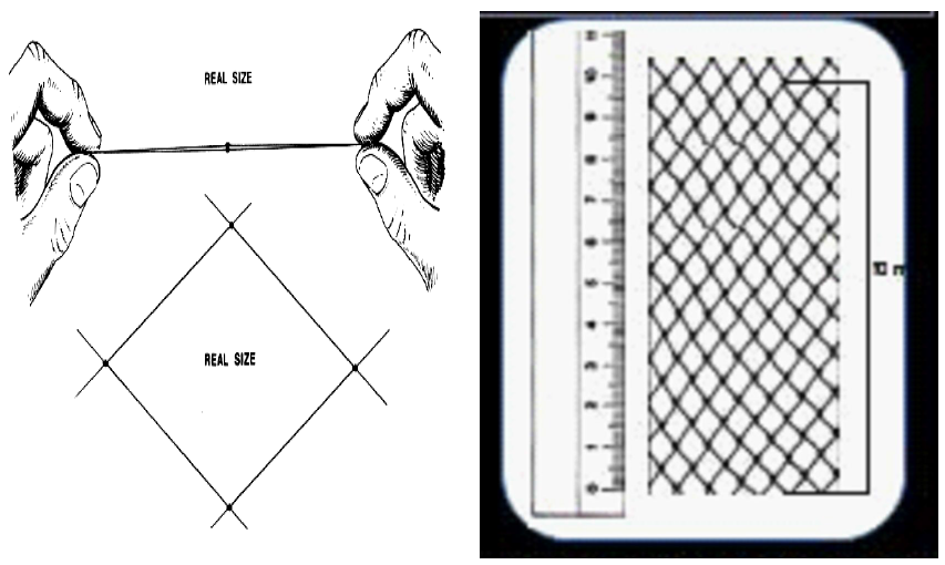 CARA MENGUKUR MATA JARING | Teknologi Penangkapan Ikan 49
