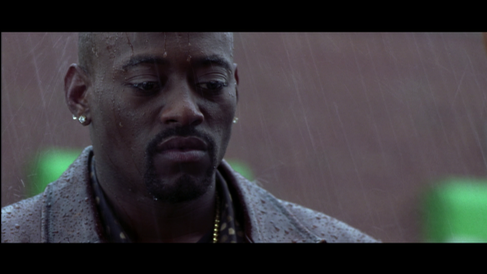 The Department of Afro American Research, Arts and Culture