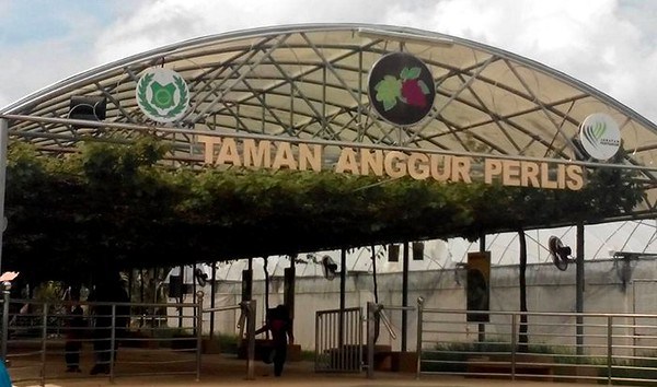 Perlis Indera Kayangan