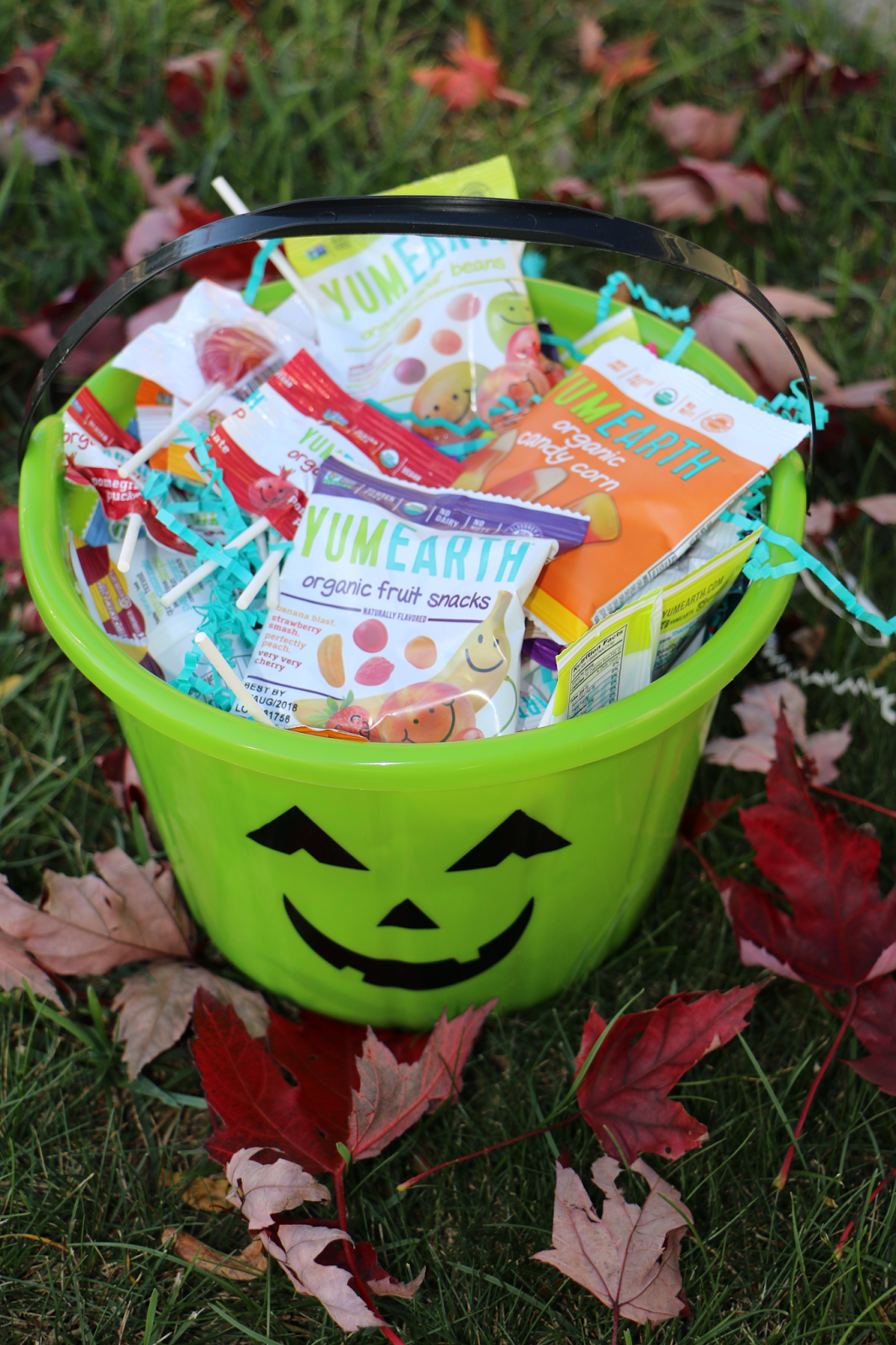 Fall PR Packages Review. | Southern Belle in Training