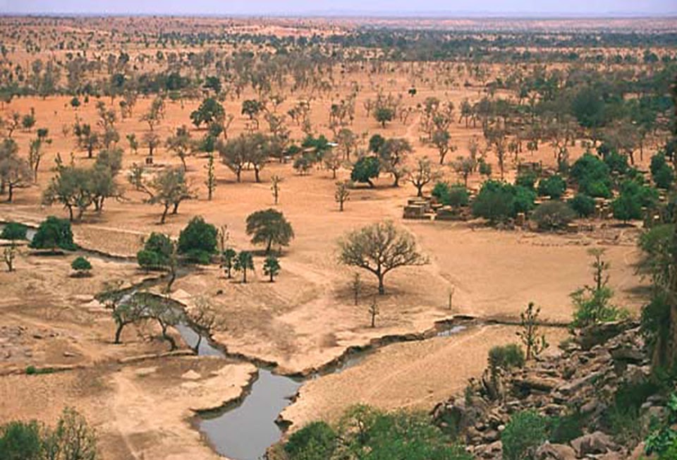 Riscuri naturale si antropice: Desertificarea