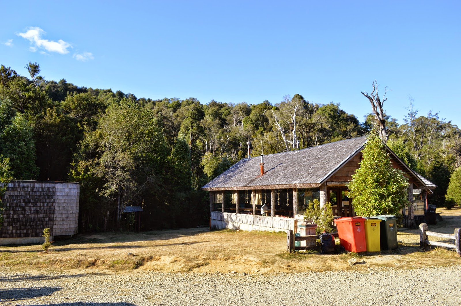 Blog de Viajes y Aventuras : El Parque Oncol en la Selva Valdiviana