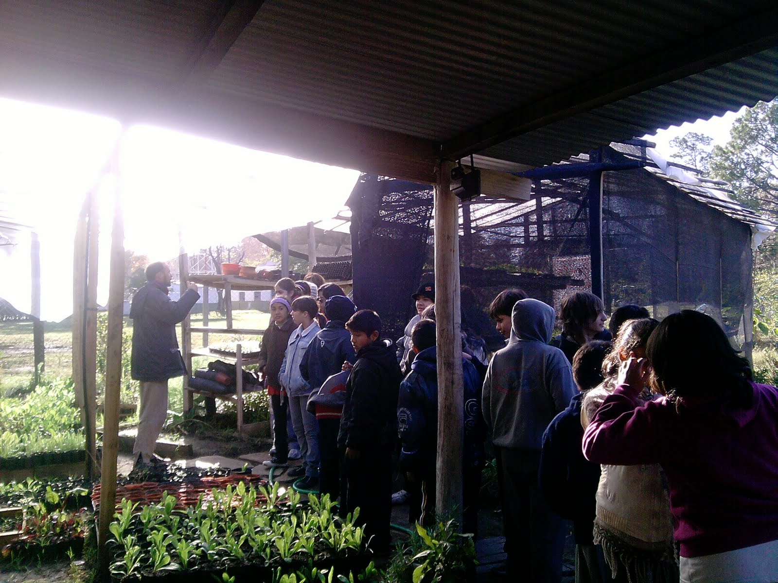 Centro Demostrativo AMBA ProHuerta INTA Castelar: LAS ESCUELAS DE ...